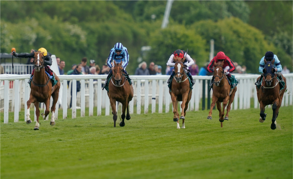 Horse Racing Tips: Matt Chapman’s ITV Friday picks include a 16/1 play ...