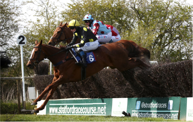 Horse Racing Tips & Racing Predictions » Paddy Power News