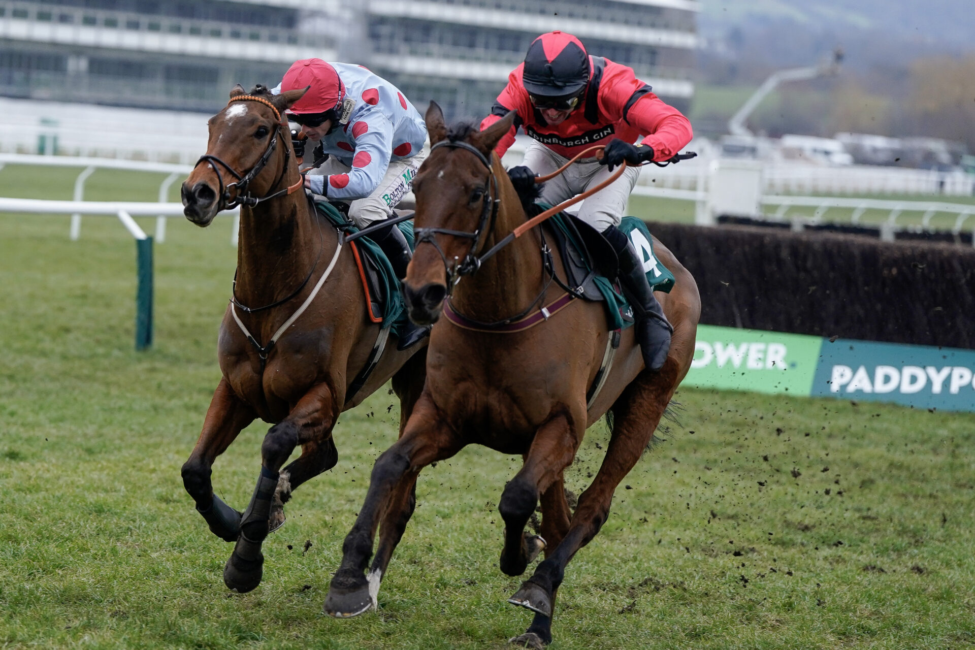 What is a Trixie bet?