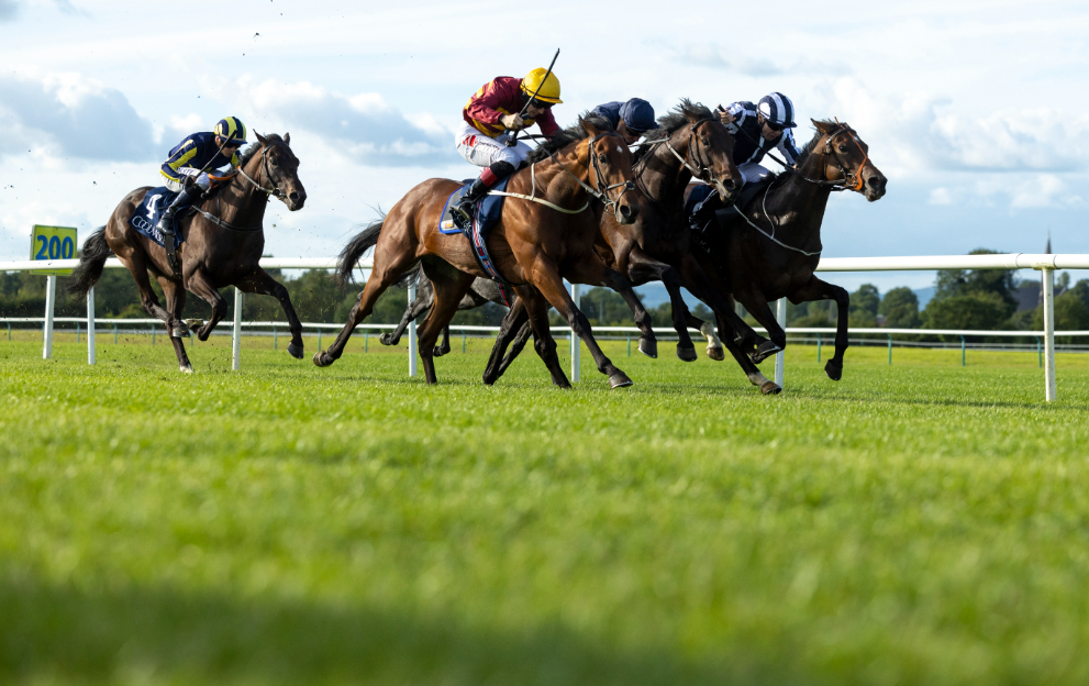 Goffs Million tips and runner-by-runner guide to Curragh 3.20