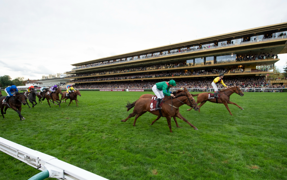 Prix de l'Arc de Triomphe runner-by-runner guide and draw