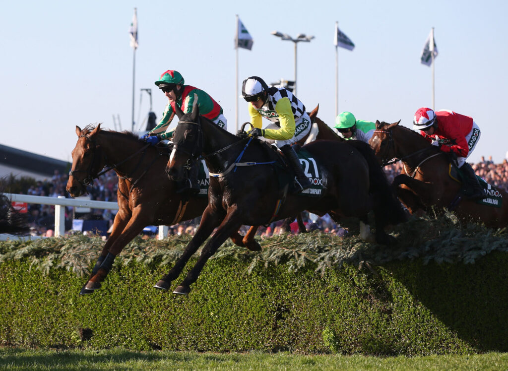 What age horse has won the most Grand Nationals?