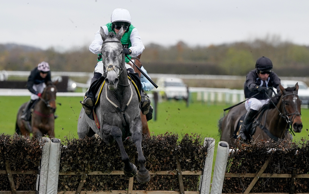 What is the 80/20 Horse Racing Betting Strategy?